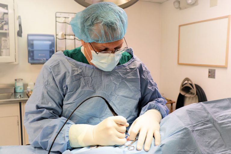 Cumberland Valley Veterinary Services | Dr. Keaton Smith is an ...